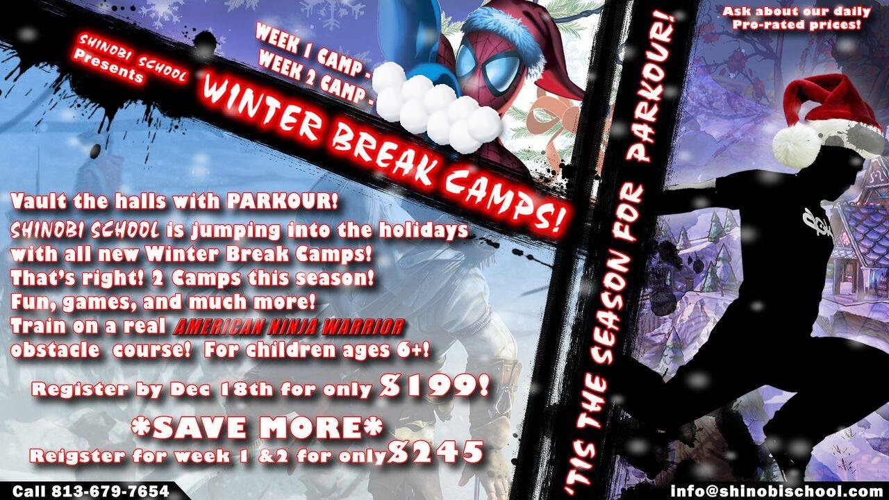 Winter Break Camp